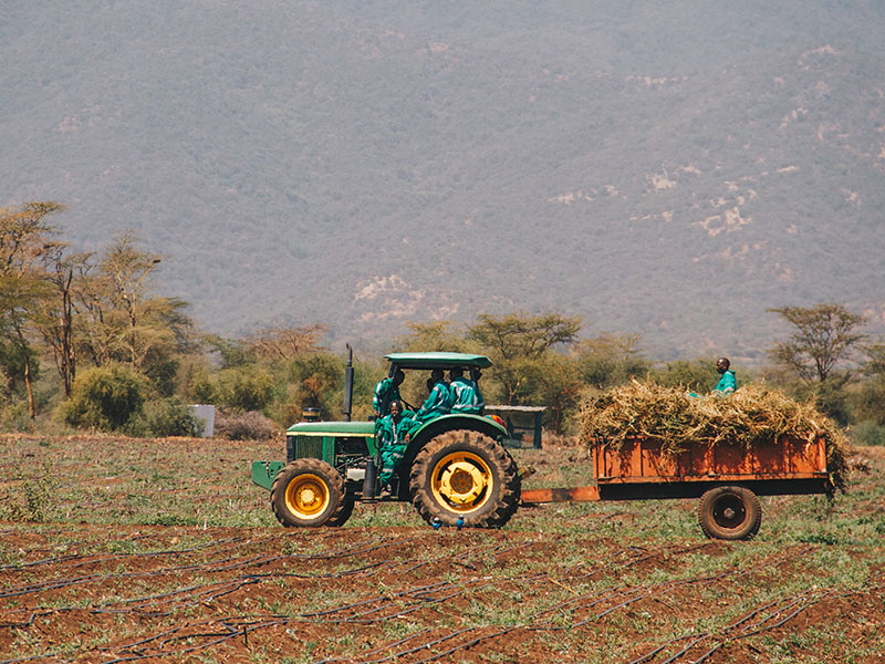 Fruitful Farms | Fruitful Farms